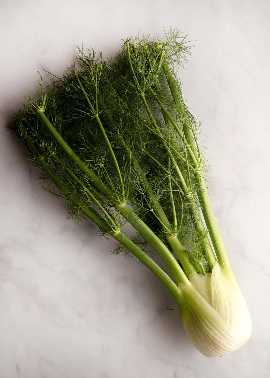 Sauteed Fennel with Parmesan Cheese – The Cupboard Collective - Chez Nous