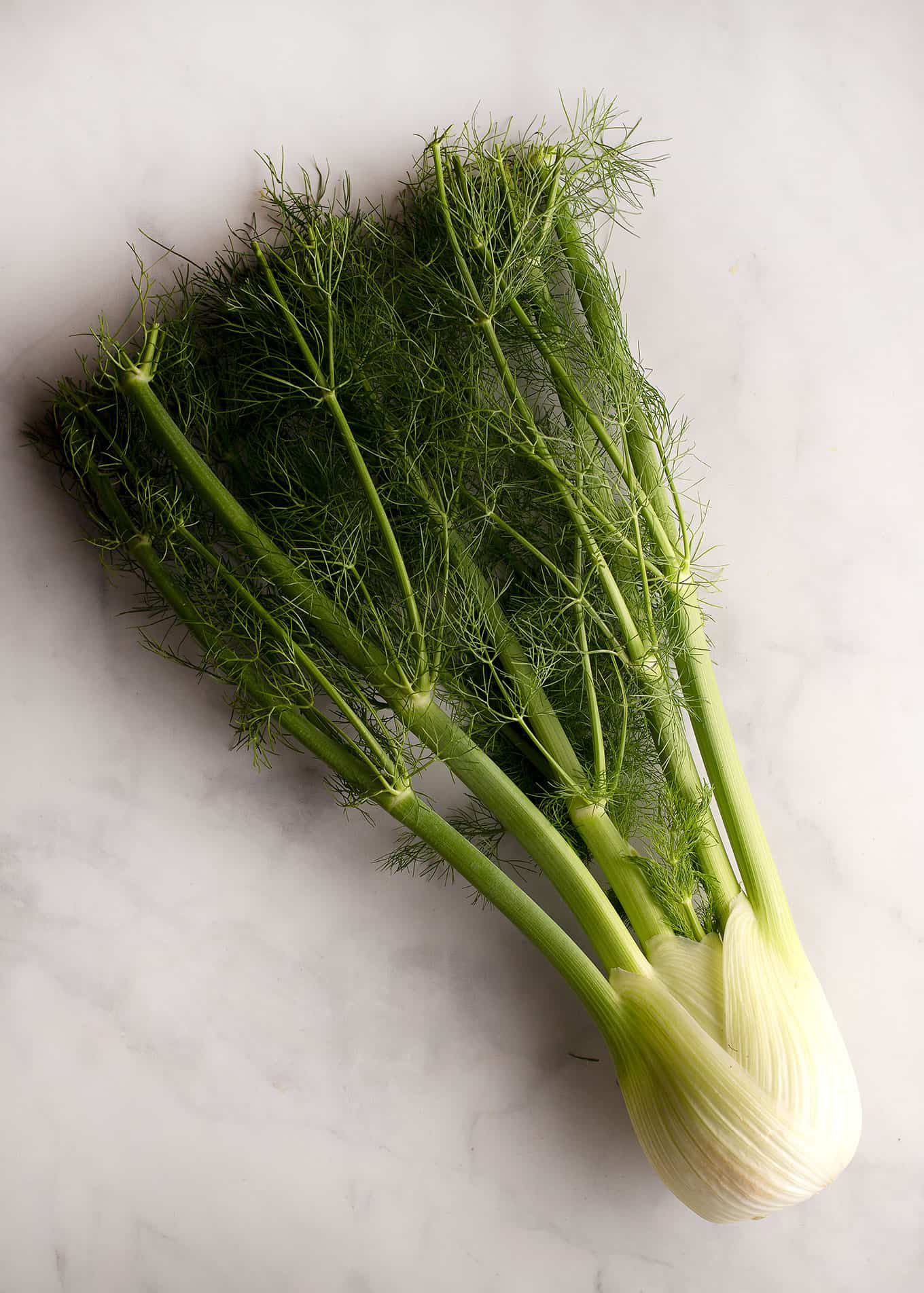 Sauteed Fennel with Parmesan Cheese – The Cupboard Collective - Chez Nous